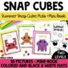 Summer Snap Cube Mats + Mini Book | Shop Lucky Learning with Molly Lynch